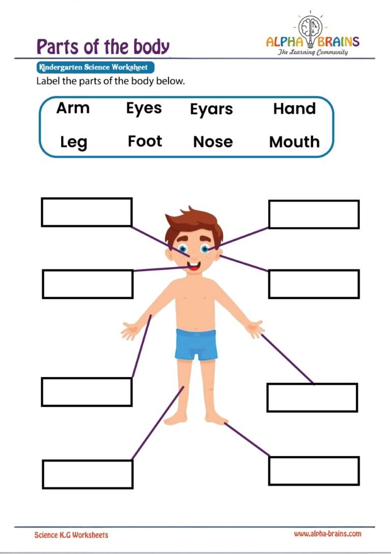 Human Body – Alpha Brains